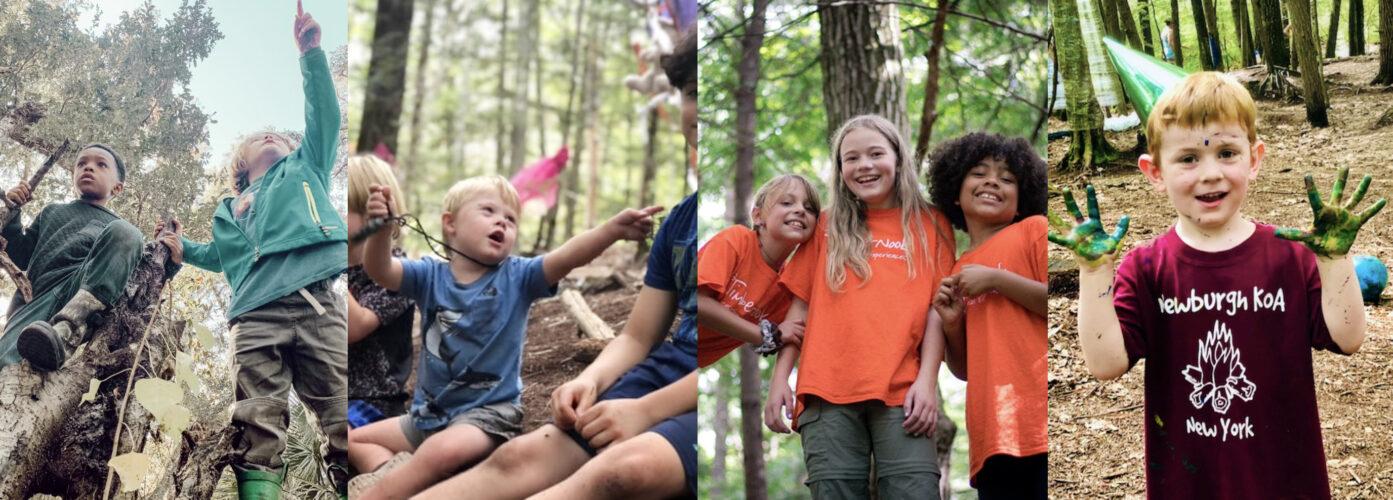 Timbernook - Beautiful Together Animal Sanctuary