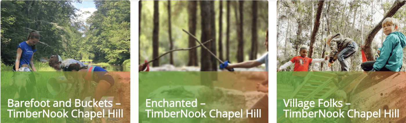 Timbernook - Beautiful Together Animal Sanctuary